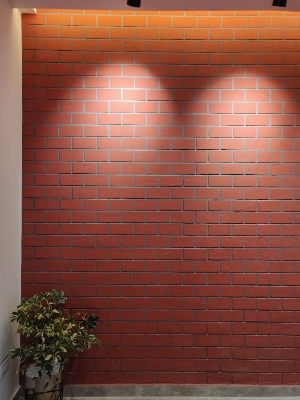 Wall Texture Services in Madina Nagar, Indore - Paintex Corporation