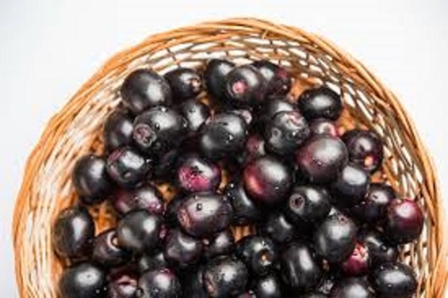 Indian Origin Oval Shape Sweet Taste Black Fresh Jamun Fruit at Best ...