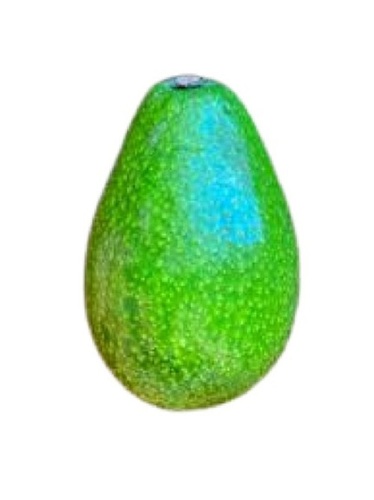 Silver-Black Fresh Oval Shape Hygienically Packed Green Avocado at Best ...