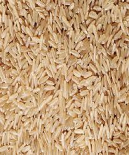 Brown Basmati Rice at Best Price in Virudhunagar, Tamil Nadu | Vetri ...