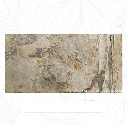 Premium Quality Indian Autumn Slate Stone Veneer Sheet Size: 1220x610 ...