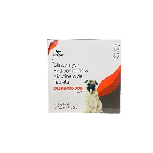 Can Clindamyacin Be Used On Dogs For Teeth Issues