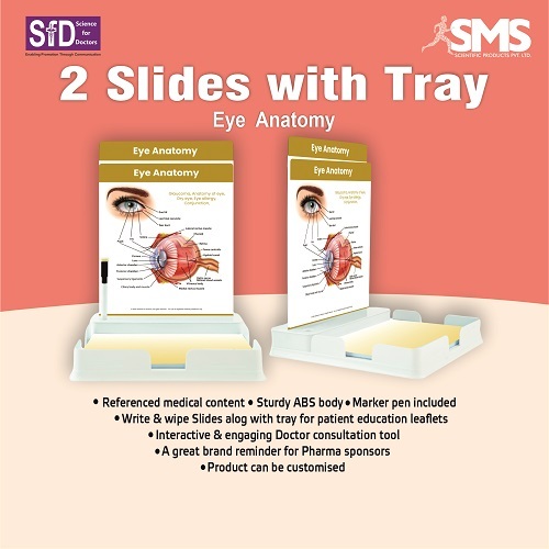 2 Slides With Tray - Eye Anatomy at Best Price in Mumbai | Sms ...