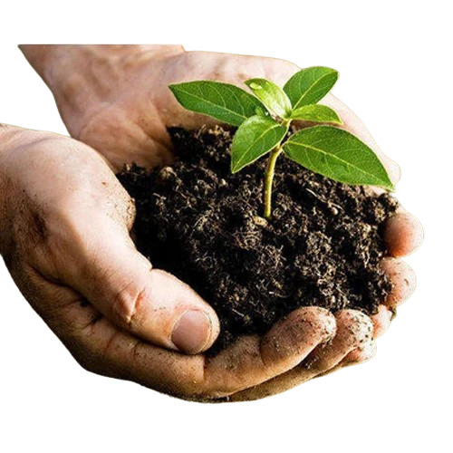 Organic Fertilizers - Application: Agriculture at Best Price in ...
