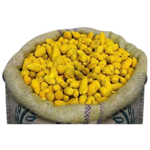 Turmeric Bulb - Color: Yellow - Color: Yellow at Best Price in Erode ...