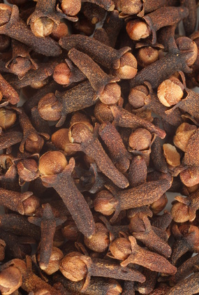 Cloves in Malaysia, Cloves Manufacturers & Suppliers in Malaysia