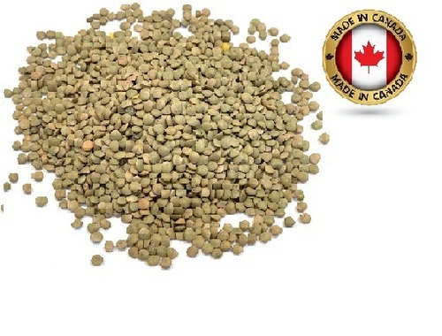 Lentils in Canada, Lentils Manufacturers & Suppliers in Canada