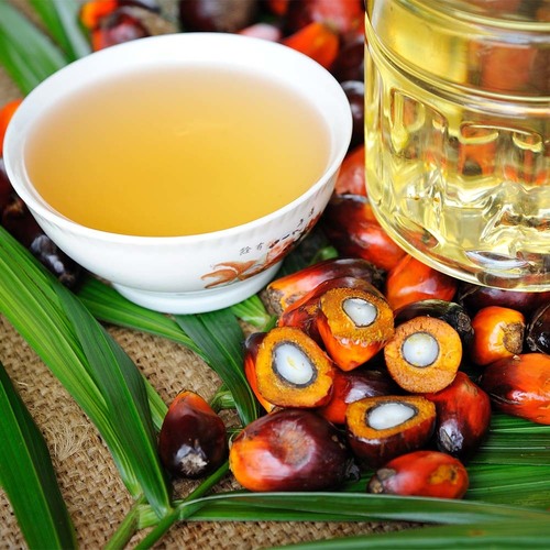 Palm oil in Thailand, Palm oil Manufacturers & Suppliers in Thailand