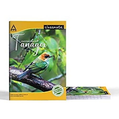 Page A4 Size Long And Smooth Classmate Notebook at Best Price in ...