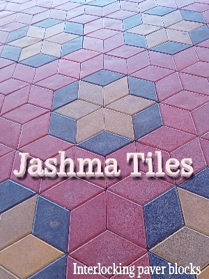 Cement Interlocking Paver Block at Best Price in Surat | Jashma Tiles