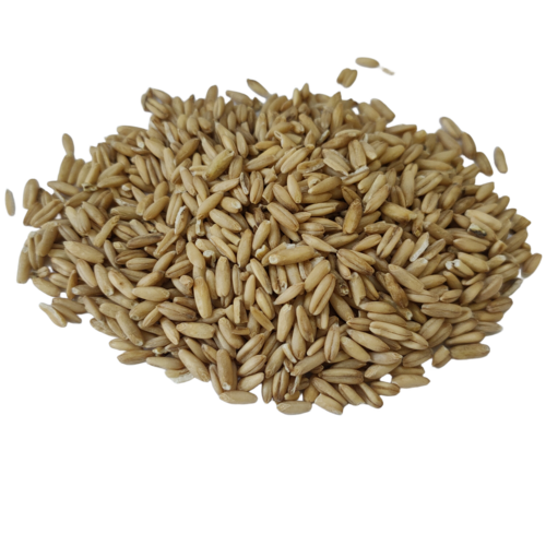 Uncrushed Oatmeal - Feature: Normal - Feature: Normal at Best Price in ...