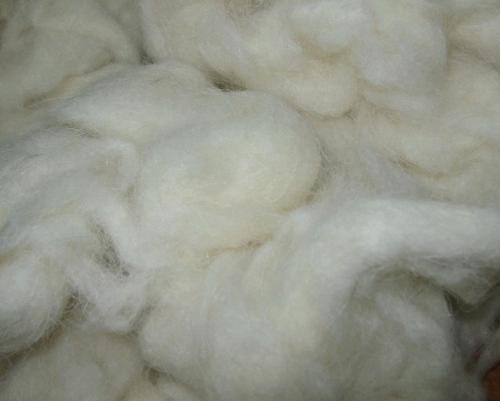 Wool waste in China, Wool waste Manufacturers & Suppliers in China