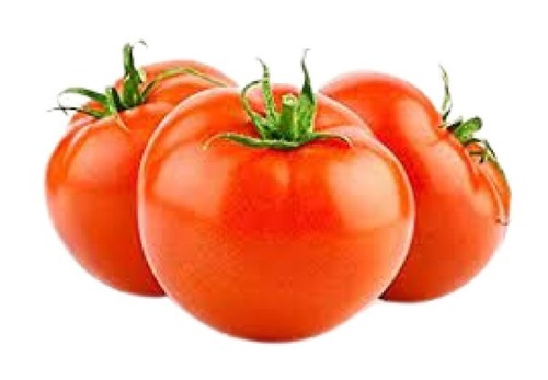 Naturally Grown Round Shape Fresh Red Tomato Shelf Life: 5 Days at Best ...