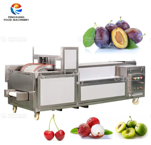 Automatic Apricot Litchi And Plum Seed Pitting Machine at Best Price in ...