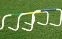 Agility Hurdles - Agility Hurdles Manufacturers, Suppliers & Dealers
