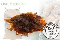 Shellac, Shellac Manufacturers, Suppliers & Exporters