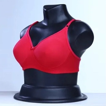 Fancy Ladies Bra Distributors, Fancy Ladies Bra Distributorship ...