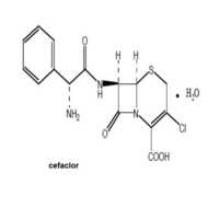 Cefaclor (Cas No 53994-73-3) - Manufacturers, Suppliers and Exporters
