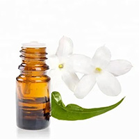 Natural Flower Extracts In Chennai (Madras) - Prices, Manufacturers ...