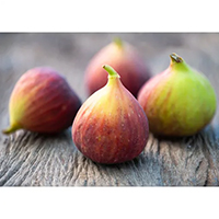 Fresh Fig Manufacturers Suppliers Dealers & Prices