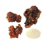 Guggul Powder Manufacturers, Suppliers, Dealers & Prices