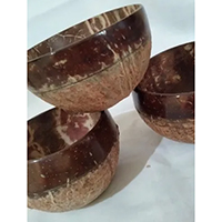Polished Coconut Shells Manufacturers, Suppliers, Dealers & Prices