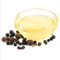 Pepper Oil Manufacturers, Suppliers, Dealers & Prices