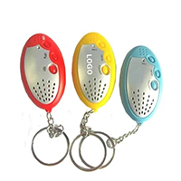 Recording Keychain Manufacturers, Suppliers, Dealers & Prices