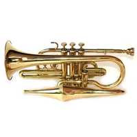 Echo Cornet Manufacturers, Echo Cornet Suppliers, Exporters, India