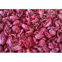 Nutmeg Flower Manufacturers, Suppliers, Dealers & Prices