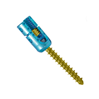 Sacral Screw Manufacturers, Suppliers, Dealers & Prices
