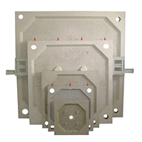 Recessed Chamber Plates Manufacturers, Suppliers, Dealers & Prices
