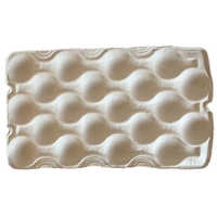 Apple Tray at Best Price from Manufacturers, Suppliers & Dealers