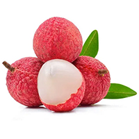 Lychee Suppliers, Litchi Exporters and Manufacturers