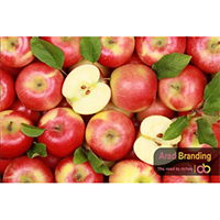 Red Delicious Apple Manufacturers, Suppliers, Dealers & Prices
